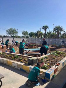 Programs | City Impact Center