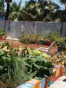 Programs | City Impact Center
